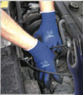Gloves – TMM